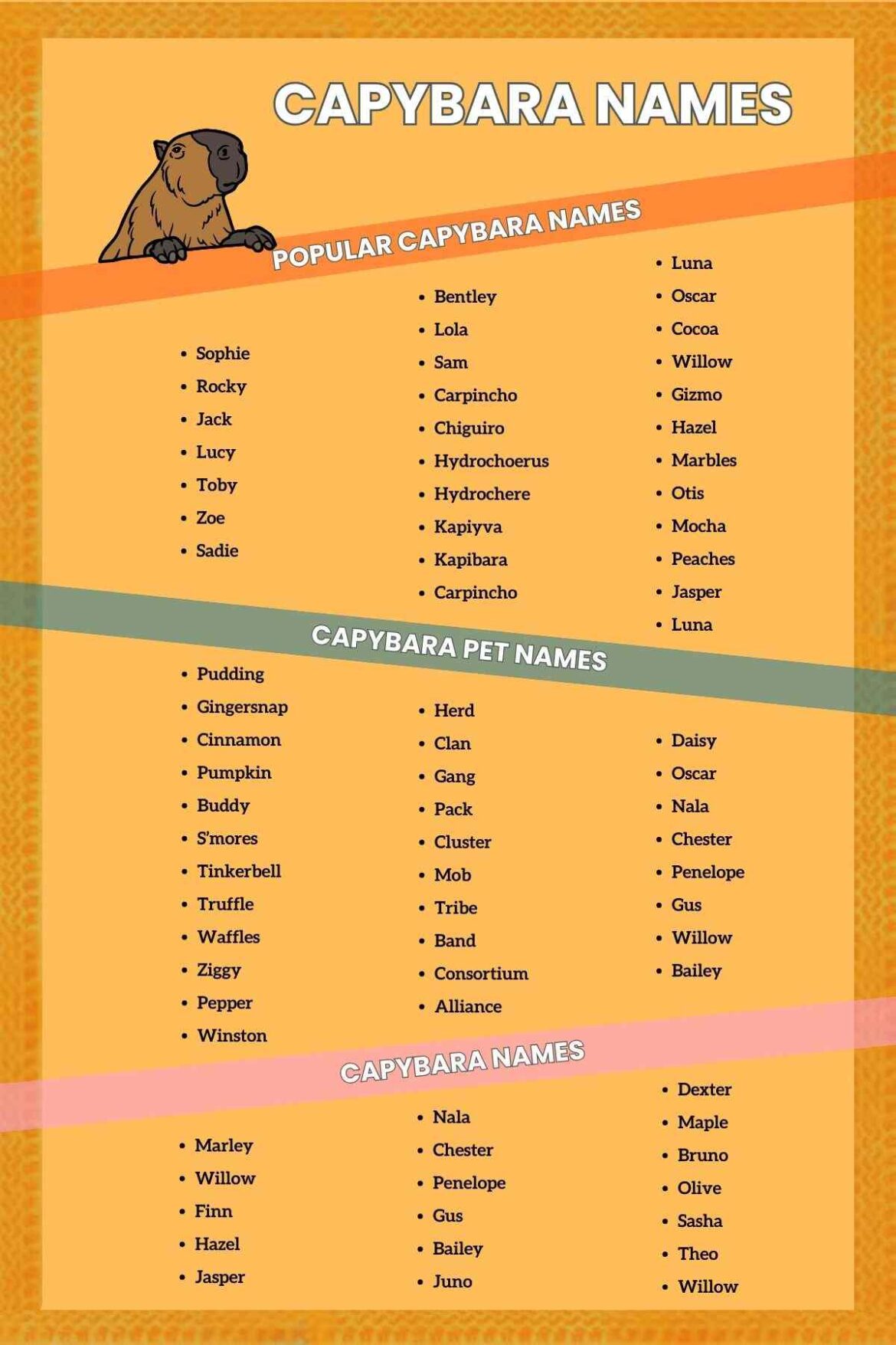 120+ Unique Cool Male and Female Capybara Names
