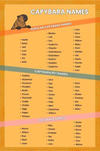 120+ Unique Cool Male and Female Capybara Names