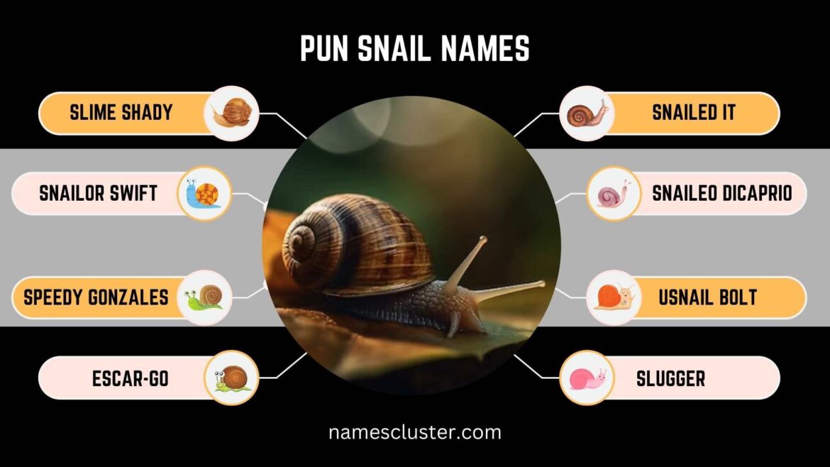 145+ Best Cute Fuuny and Sea Snail Names