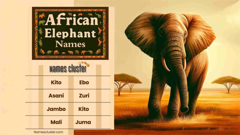 133+ Unique Elephant Names to Suit Your Beloved Pet
