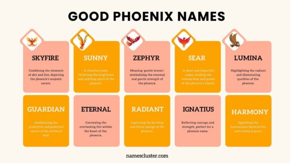 140+ Best Famous and Cool Phoenix Names
