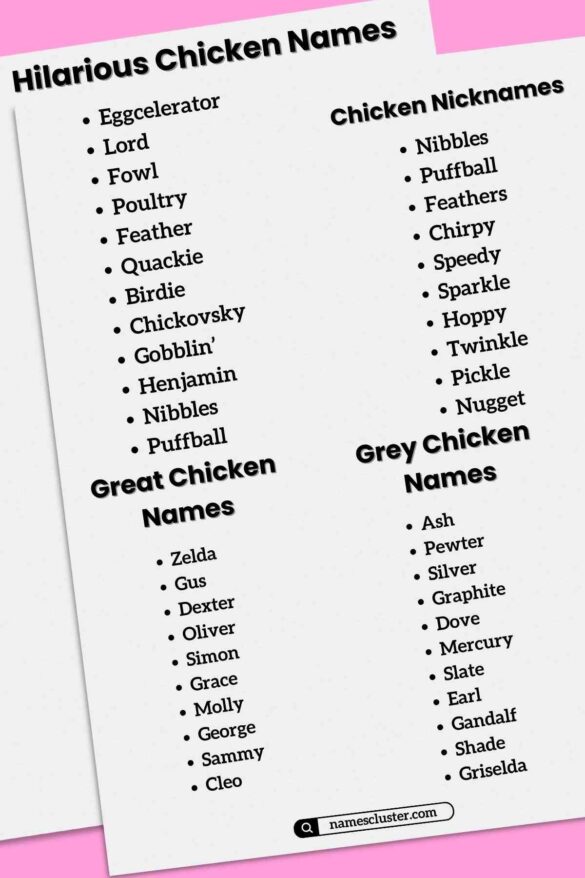 220+ Best Cute Clever and Popular Chicken Names