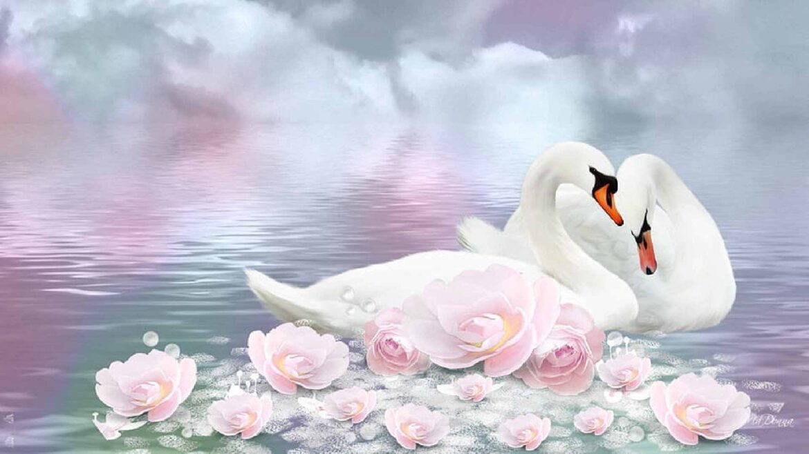 200+ Swan Names Ideas For Your Feathered Friend