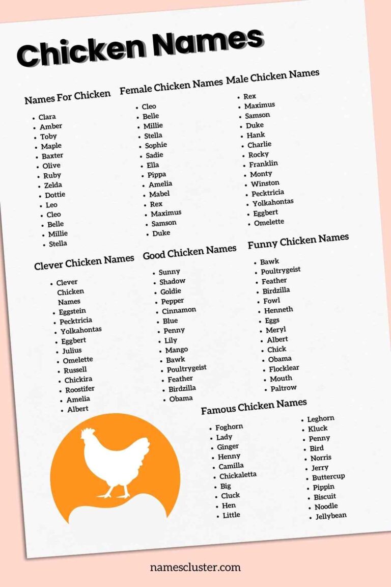 220+ Best Cute Clever and Popular Chicken Names