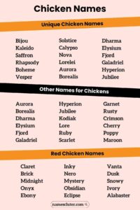 220+ Best Cute Clever and Popular Chicken Names