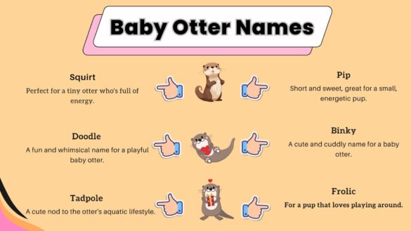 130+ Best Cute Famous And Sea Otter Names
