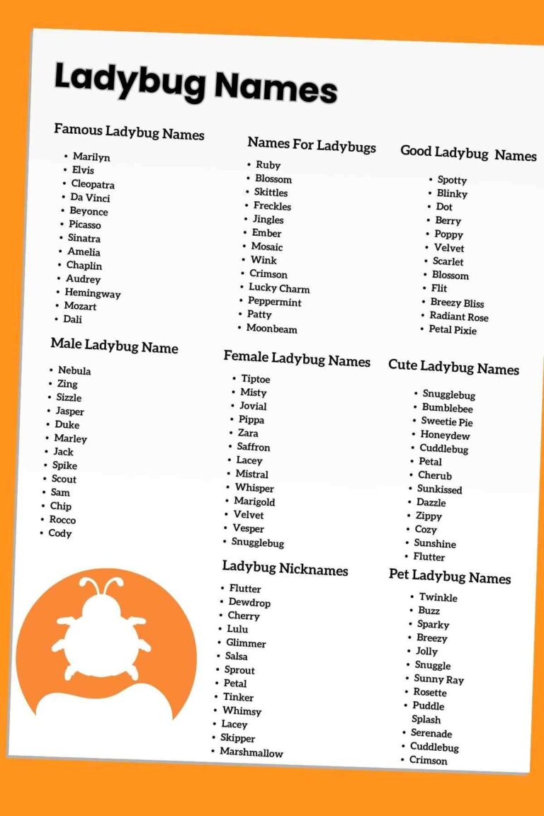 130+ Ladybug Names Cute Famous And Funny Ladybug Names