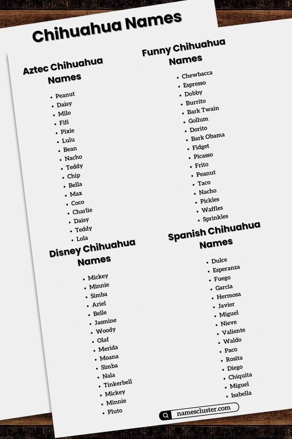 120+ Cool Unique Male and Female Chihuahua Names