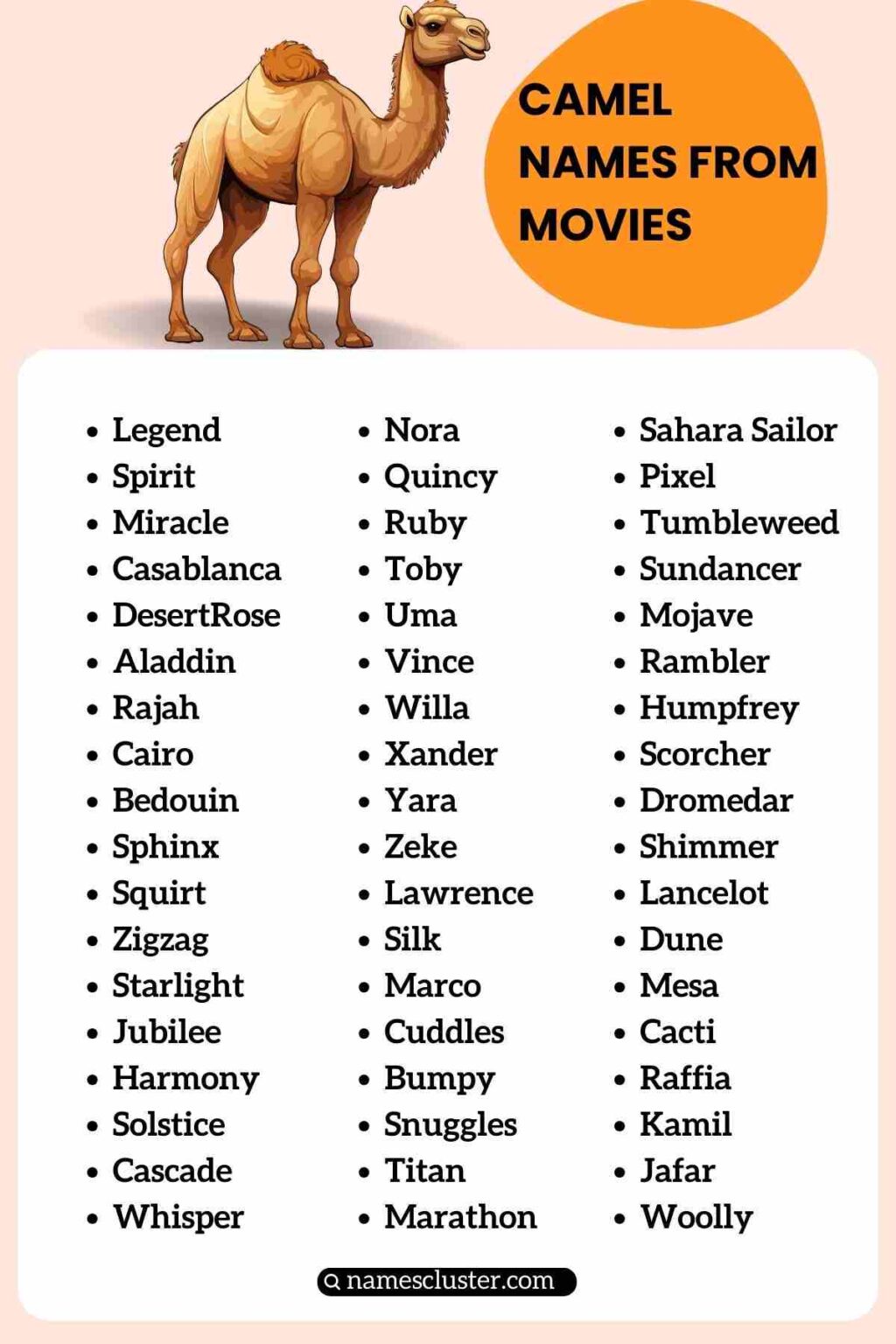 250+ Best Cute Famous And Arabic Camel Names