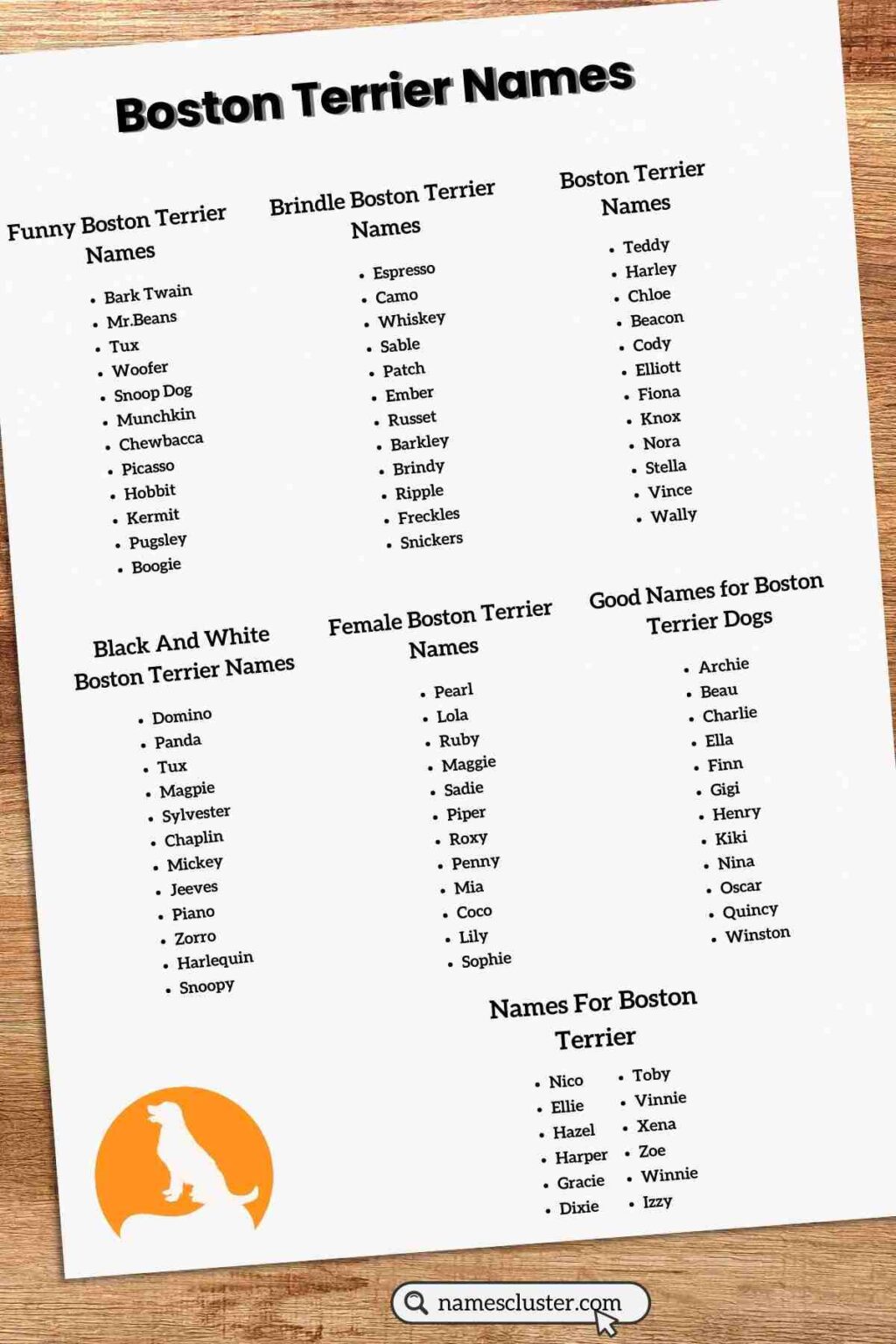 105+ Best Cute and Famous Boston Terrier Names