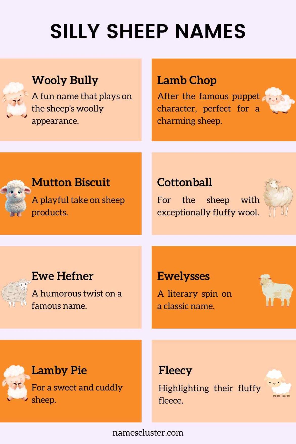 200+ Best Male Female Funny and Clever Sheep Names