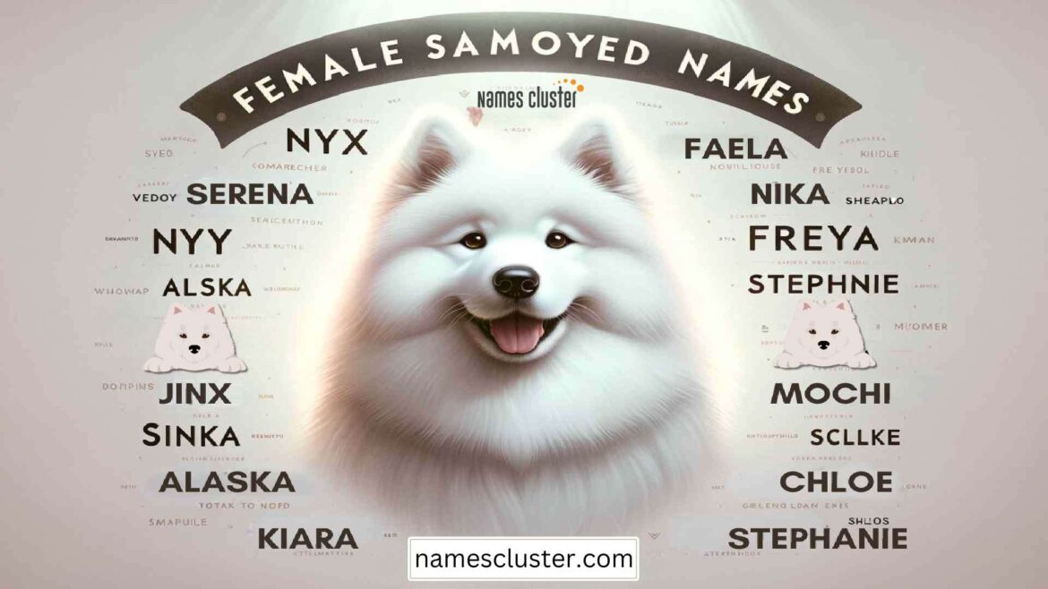 180+ Popular Male Female and Unique Samoyed names