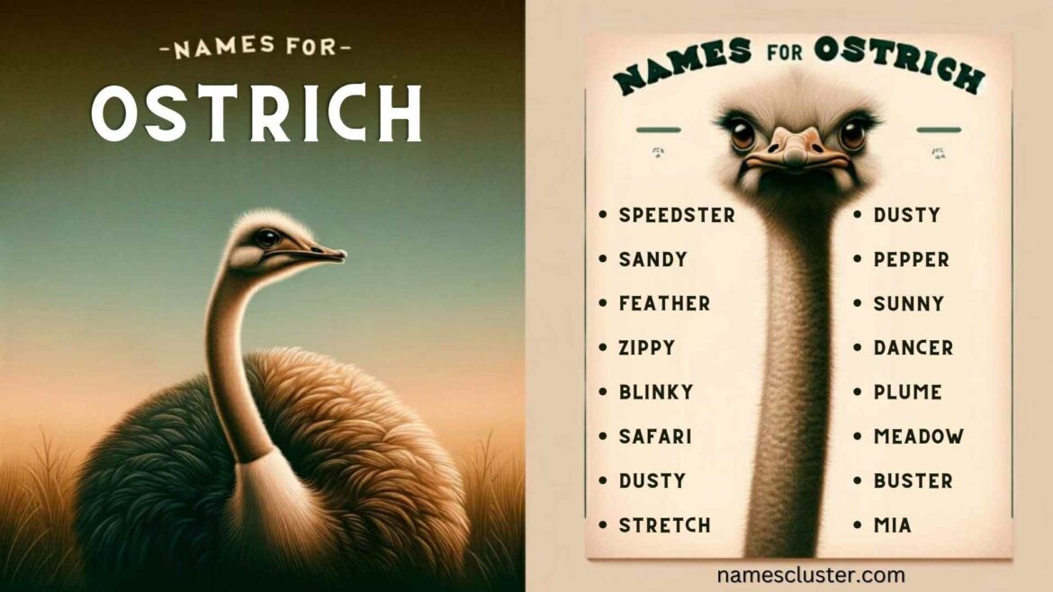 Cute Funny Famous Baby Male and Female Ostrich Names