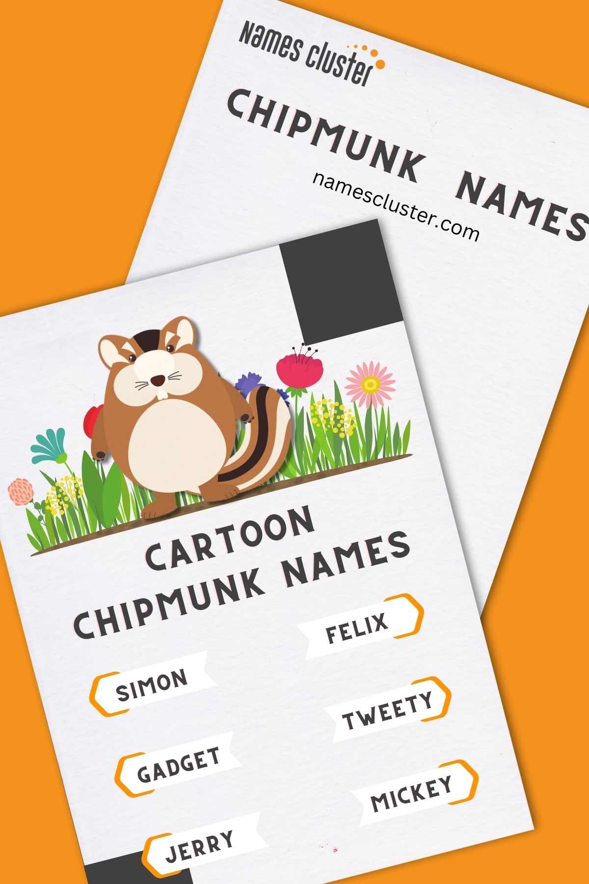 100+ Cute Cool Funny and Famous Chipmunk Names