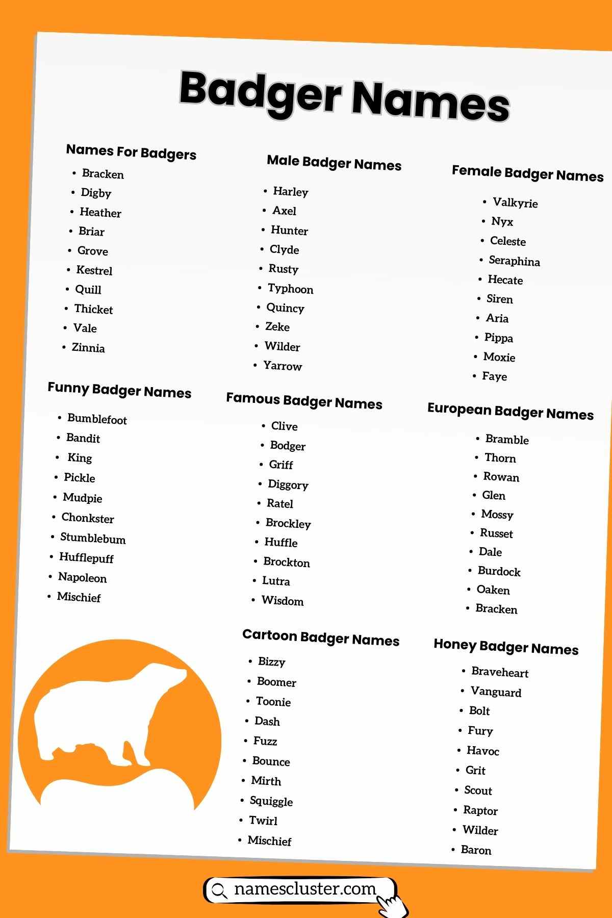 99+ Famous Funny & Creative Badger Names | Names Cluster
