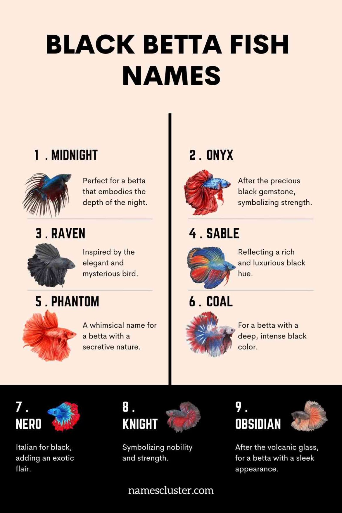 200+ Best Unique Cute and Cool Betta Fish Names