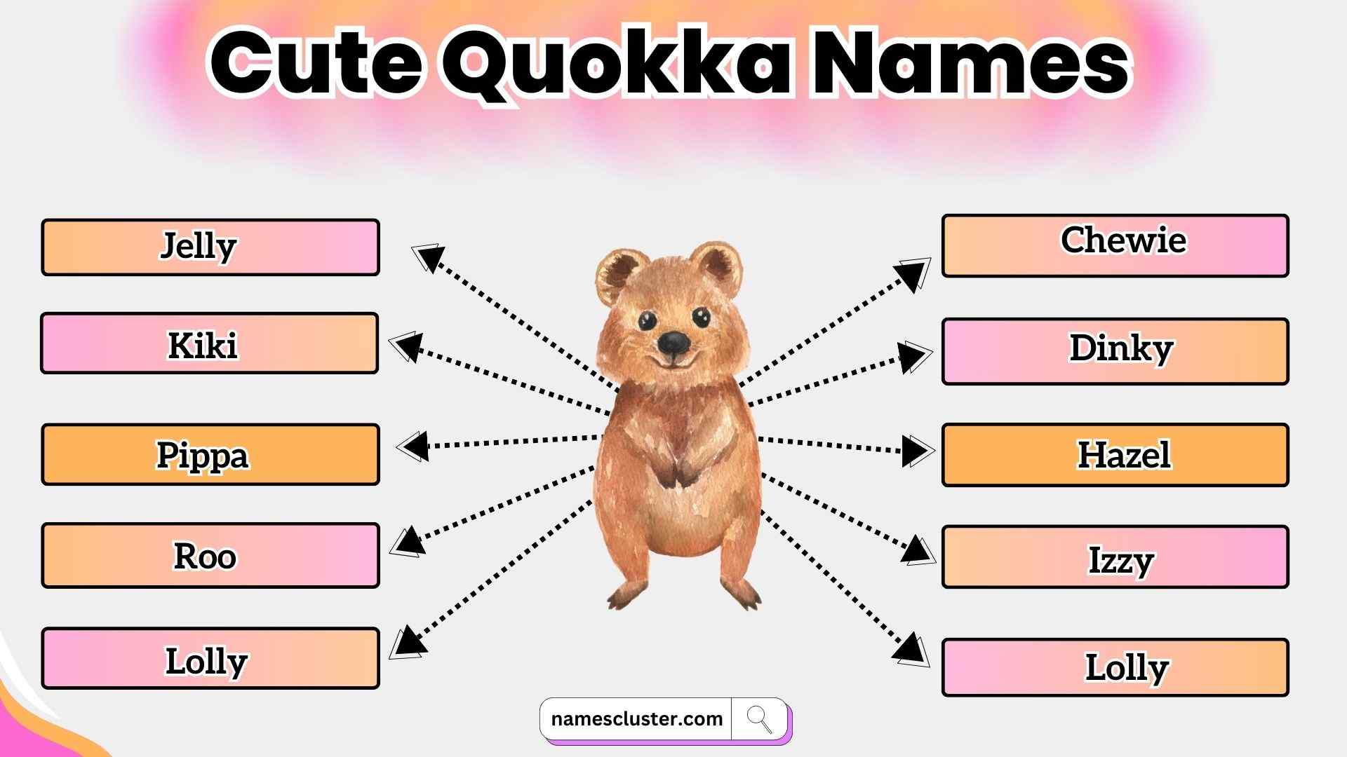 Best Cute and Good Quokka Names | Names Cluster