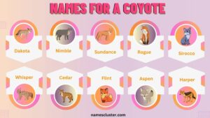 Best Male Female Famous Cute and Coyote Names