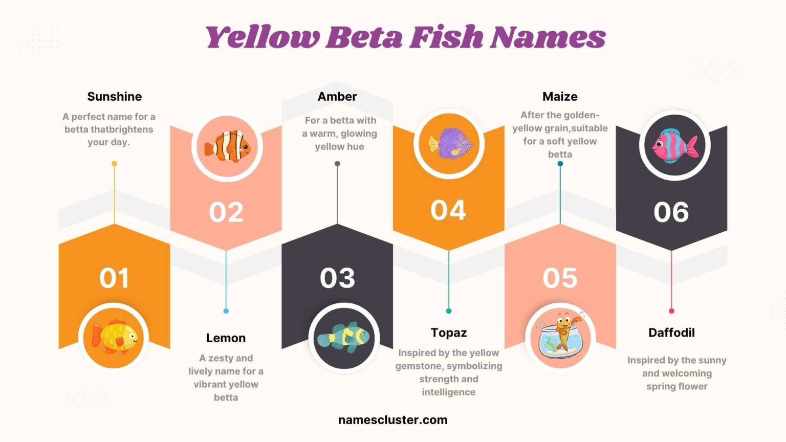 200+ Best Unique Cute and Cool Betta Fish Names
