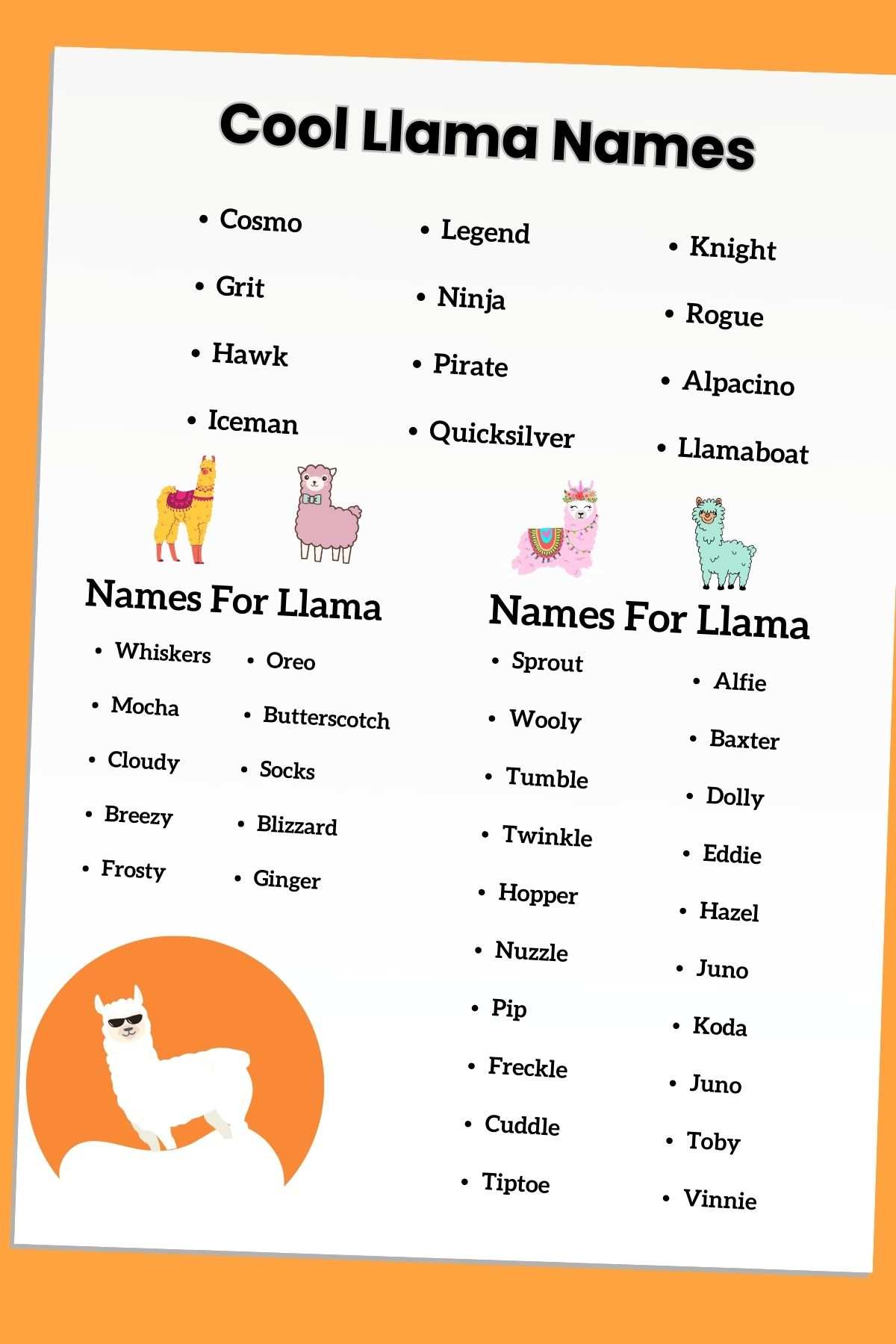 150+ Good Cute Funny and Baby Llama Names