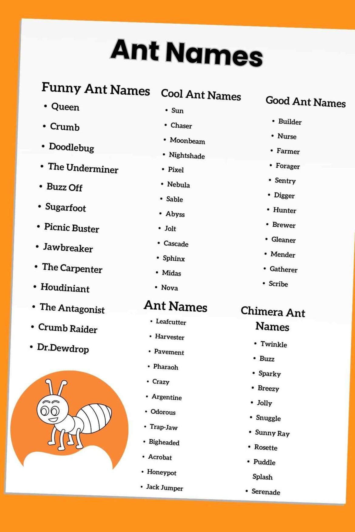 110+ Cute Cool Funny and Catchy Ant Names