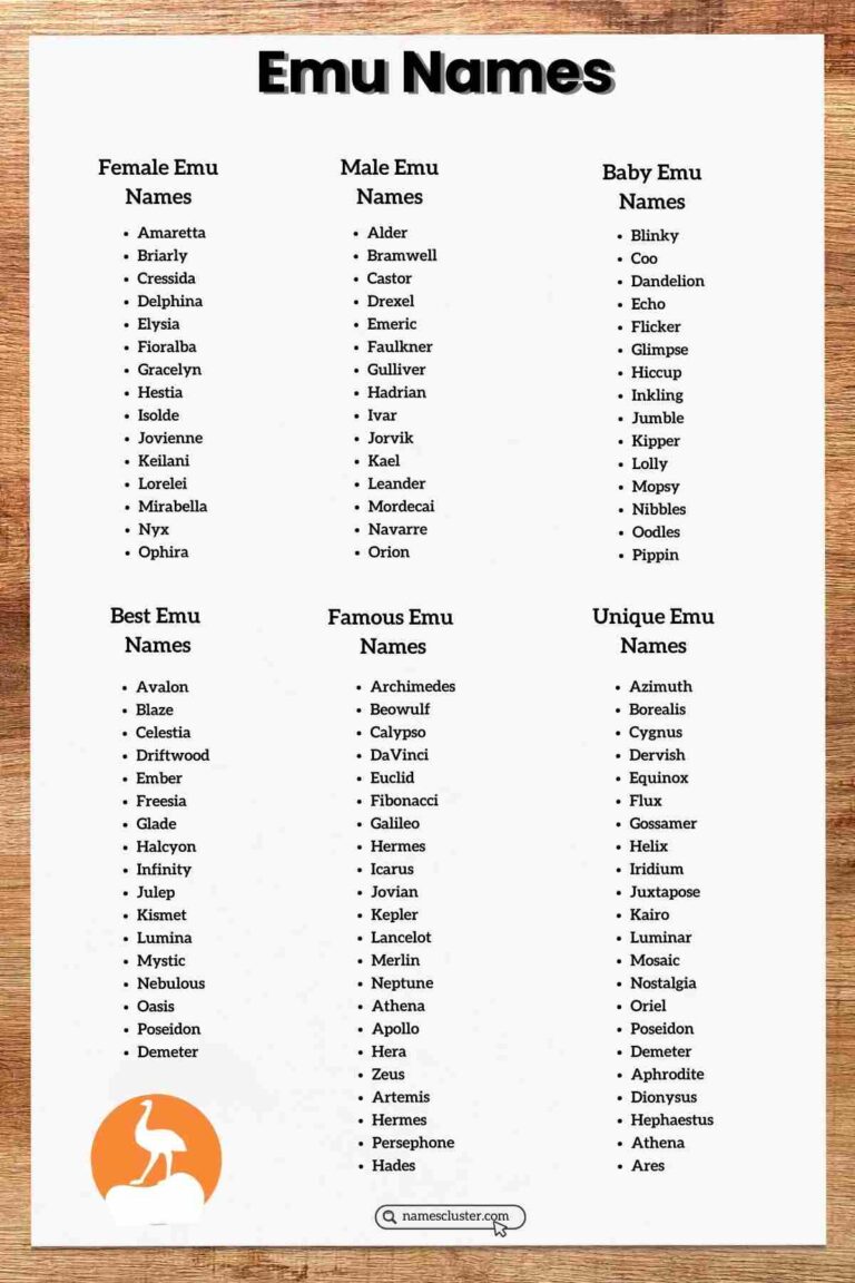 110+ Unique Cute and Cool Male Female Emu Names