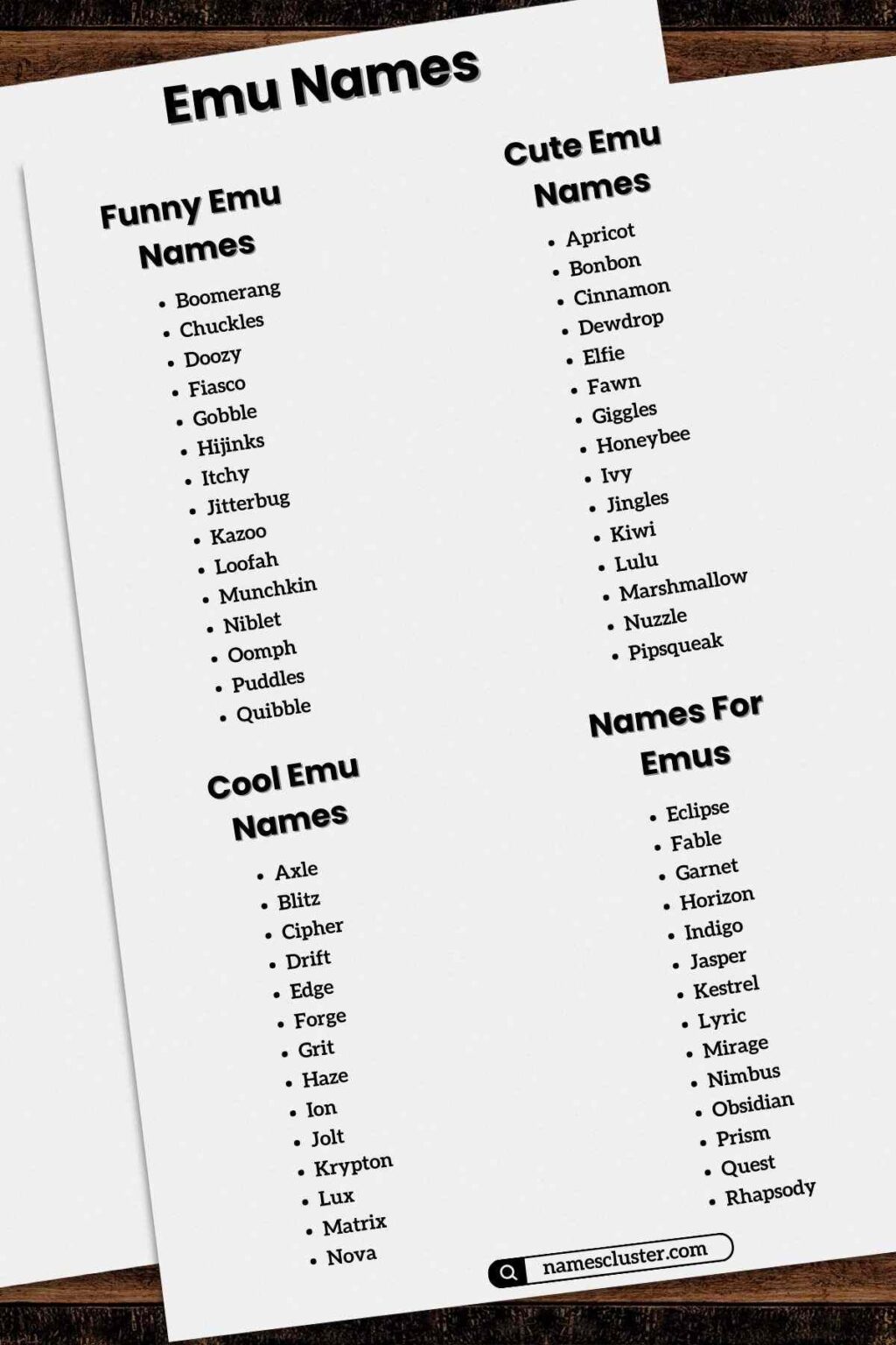 110+ Unique Cute and Cool Male Female Emu Names